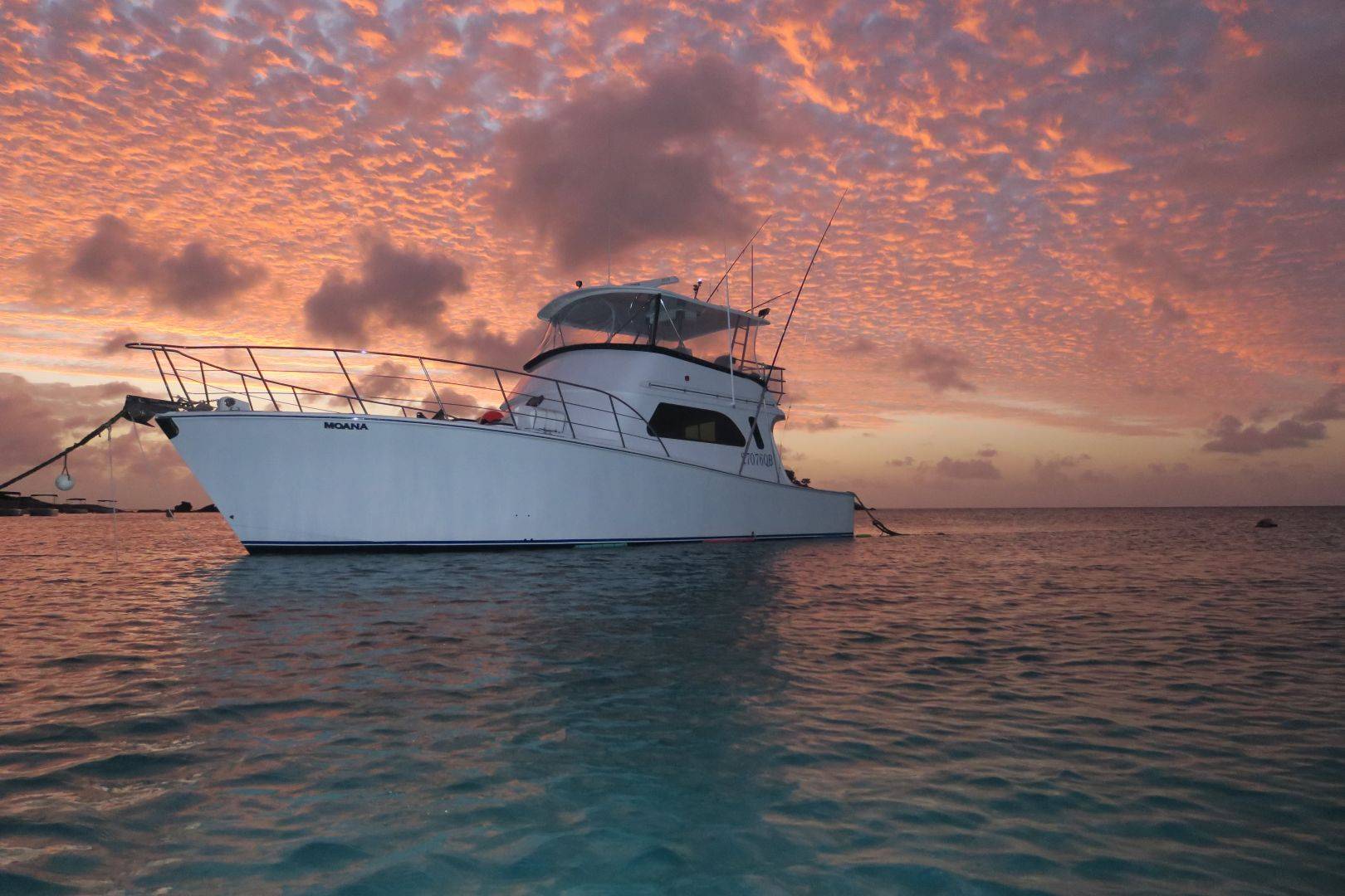 Our Boat - Moana III | Big Fish Down Under